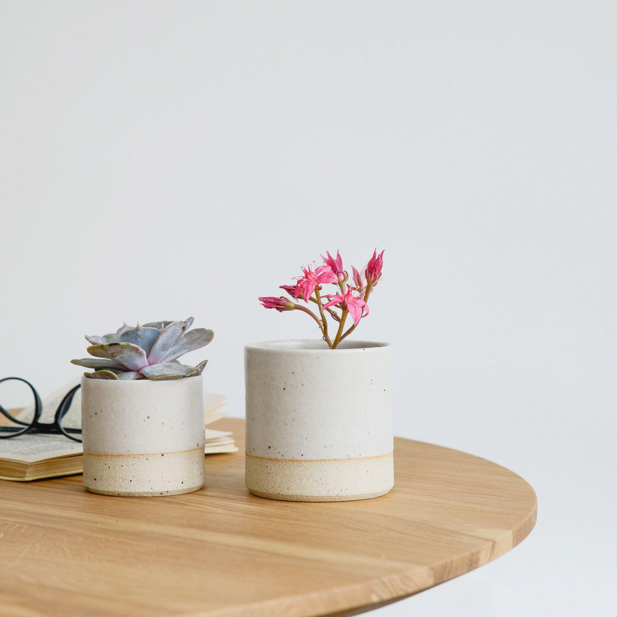 Small White Plant Pots | Handmade Ceramic Planter | Habulous